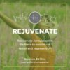 Heal, Repair and Recover with REJUVENATE - This is HUSO