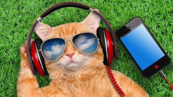 8 Sounds That Are Really Good for You - This is HUSO